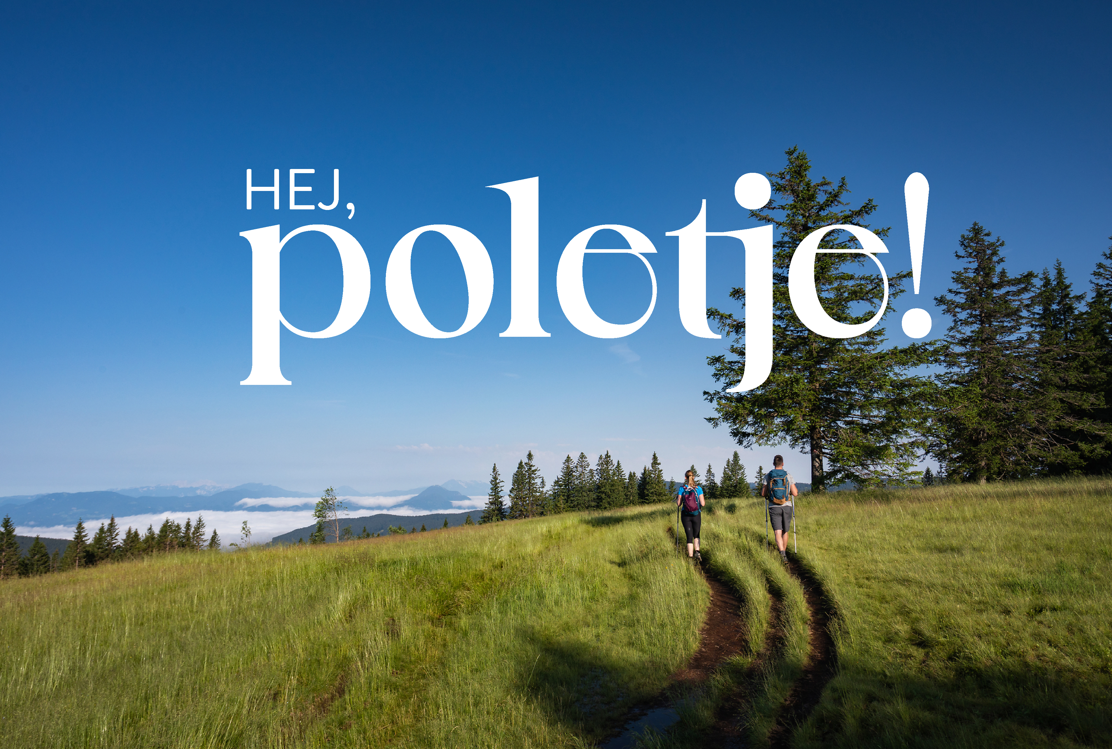 Magazin | Pohorje
